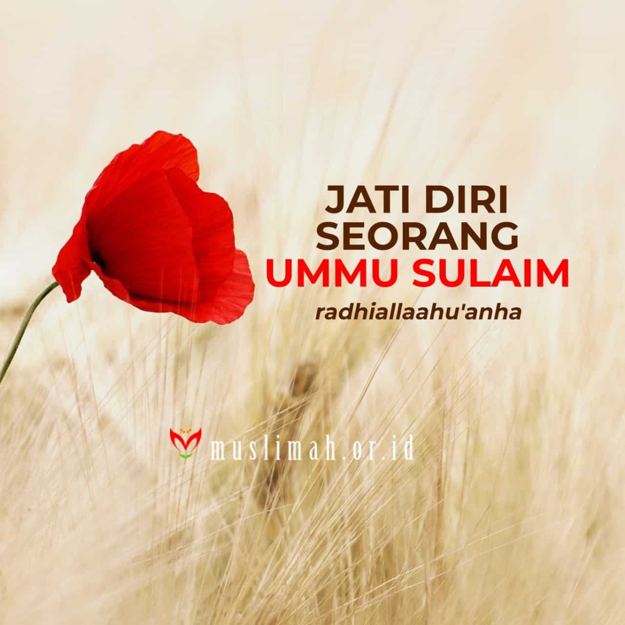 Jati Diri Seorang Ummu Sulaim Radhiyallahu 'anha