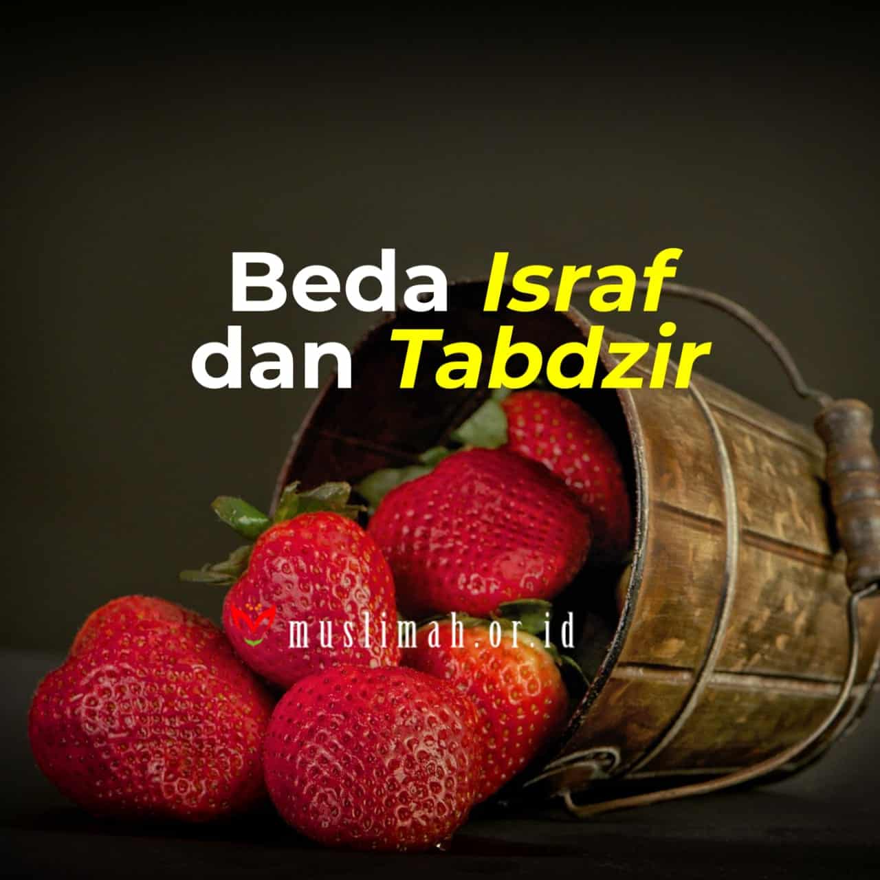 Beda Israf dan Tabdzir