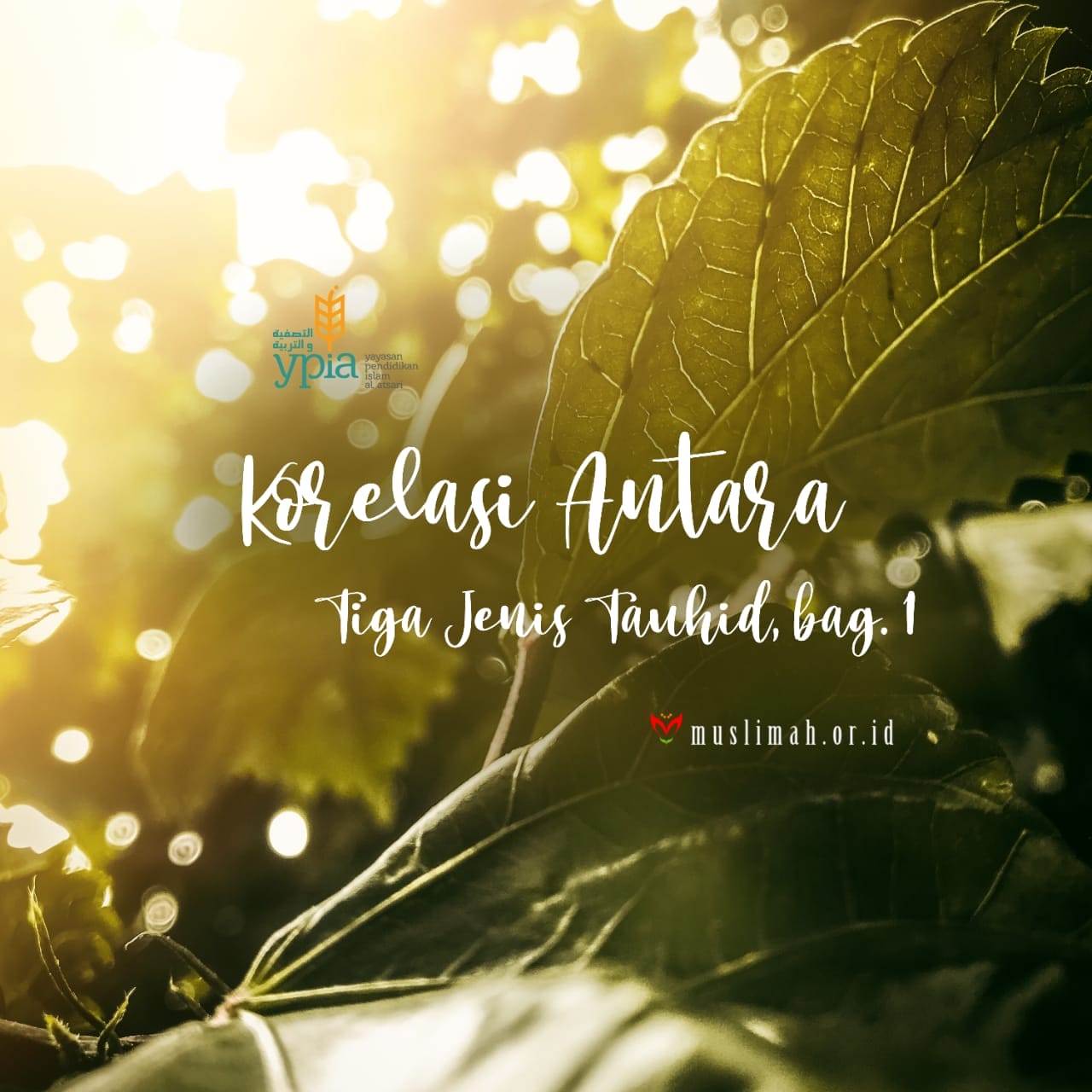 Korelasi Antara Tiga Jenis Tauhid, bag. 1