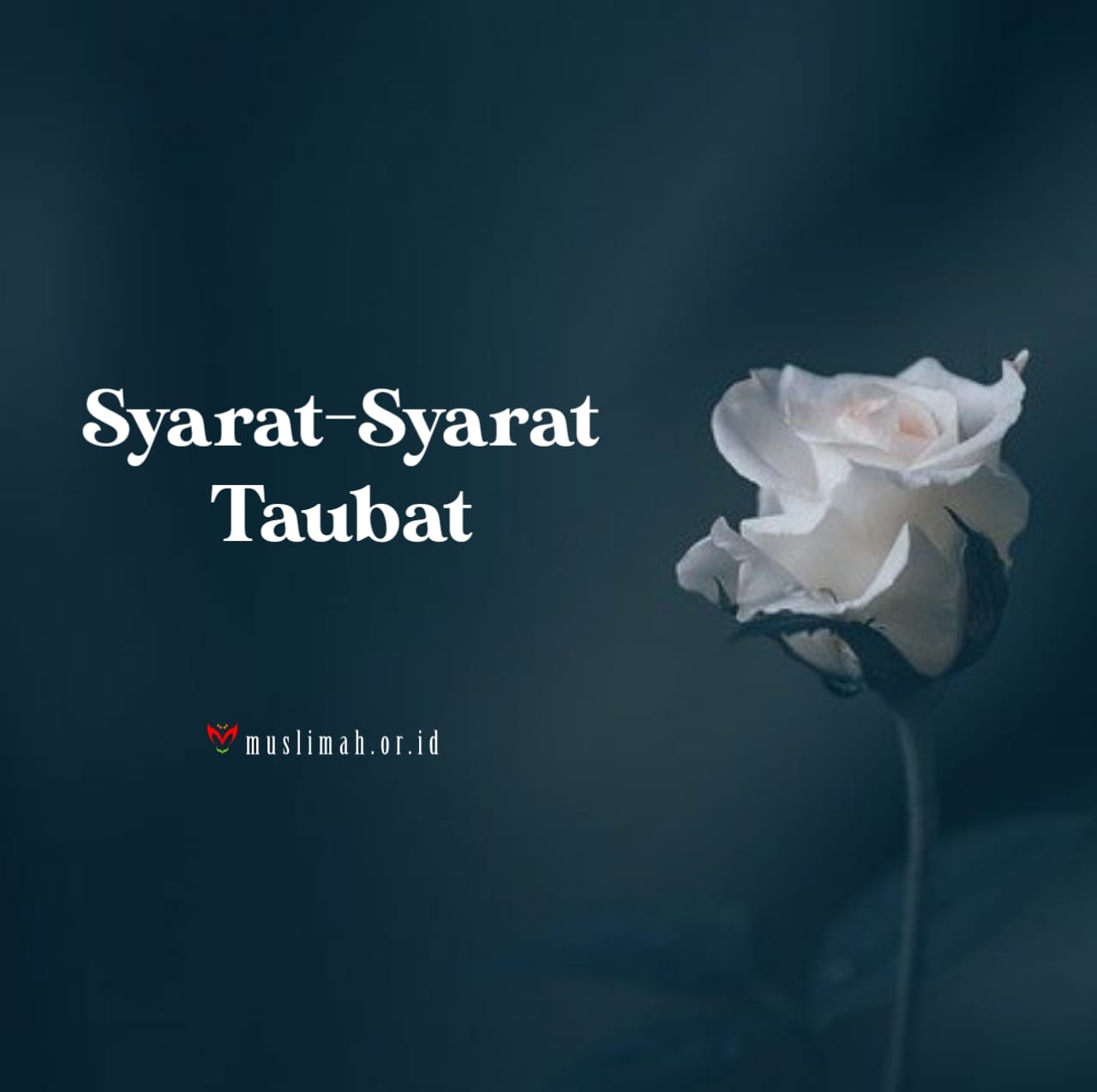 Syarat-Syarat Taubat