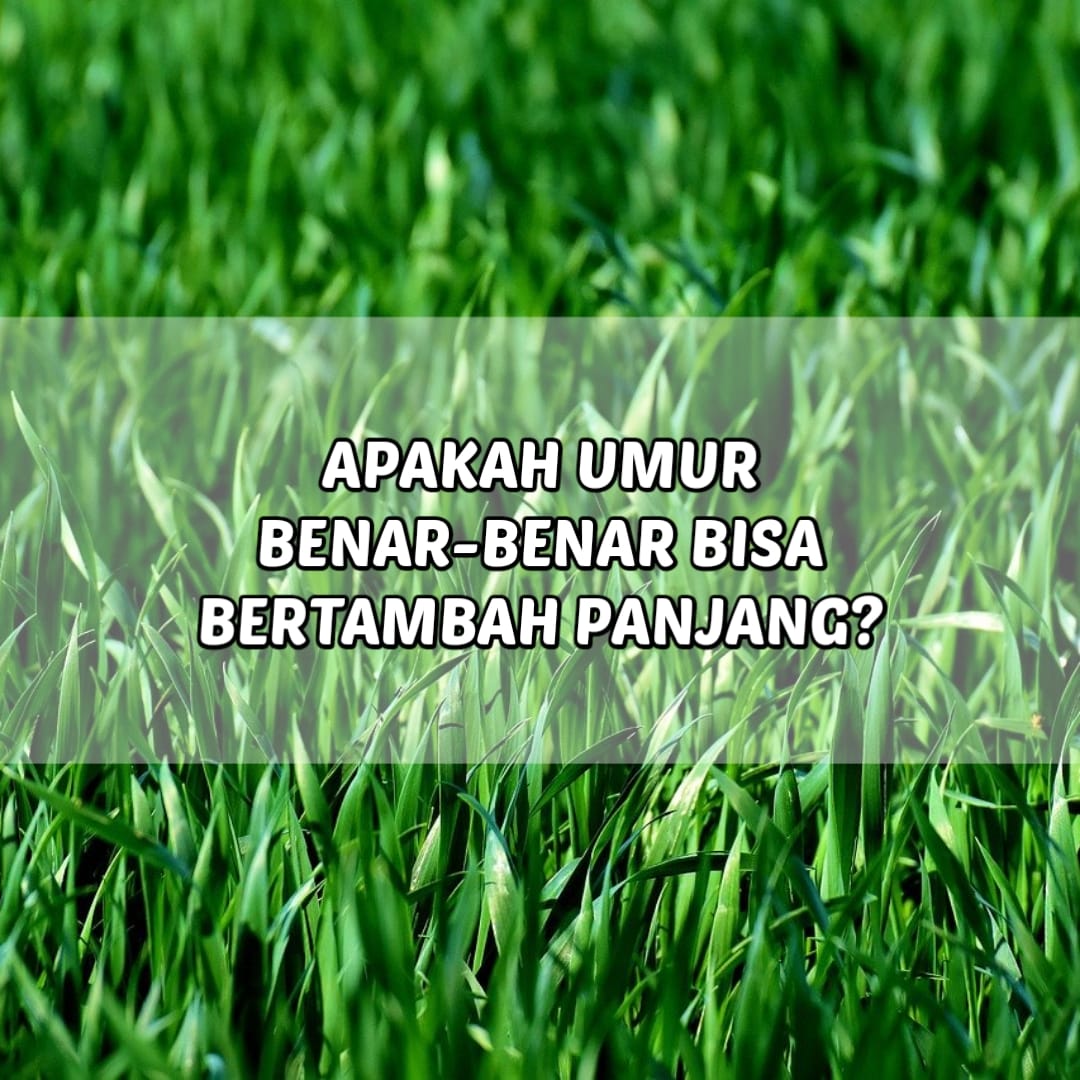 Apakah Umur Benar-Benar Bisa Bertambah Panjang?